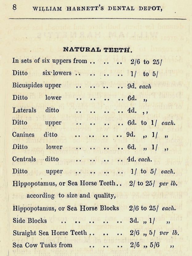 The dentures made from the teeth of dead soldiers at Waterloo - BBC News
