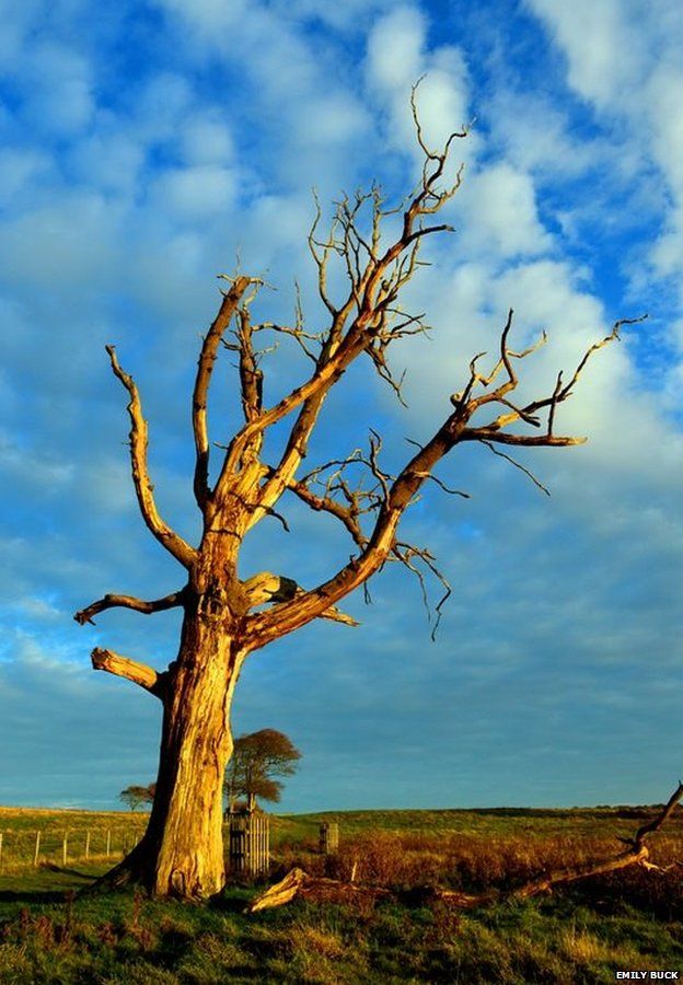 My Perspective competition winners - BBC News