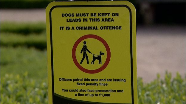 Dog controls brought in by Coventry City Council - BBC News