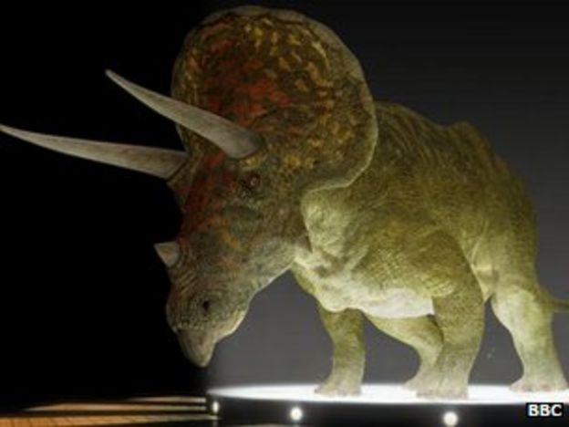 Triceratops and Torosaurus dinosaurs 'two species, not one' - BBC News