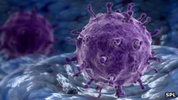 Flu virus 'knows when to attack' - BBC News