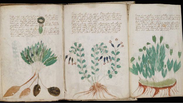 The Voynich Code a Secret of Nature | Peace is Our True Nature