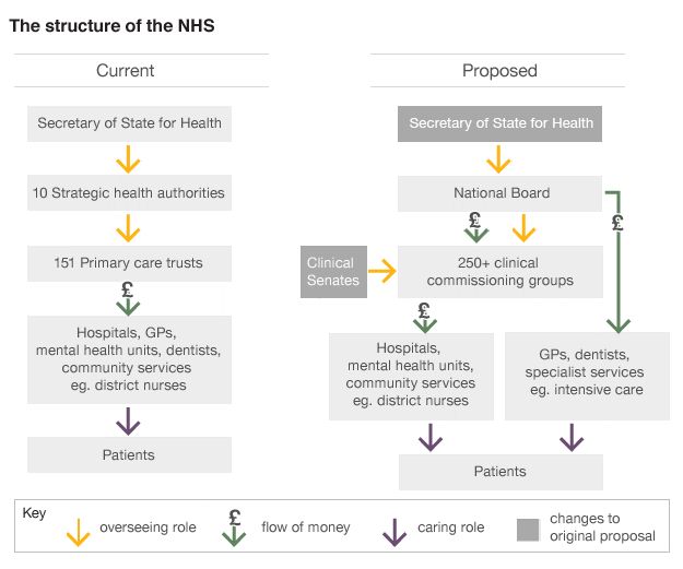 Step-by-step guide to NHS changes - BBC News