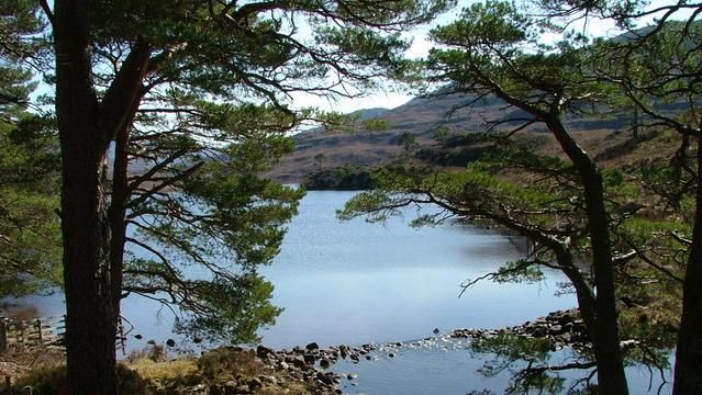 Ainm Gàidhlig ga thaghadh do dh'oighreachd ùir - Naidheachdan a' BhBC