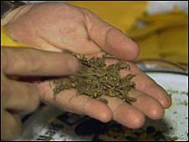 México descriminaliza posse de droga para 'uso pessoal' - BBC News Brasil