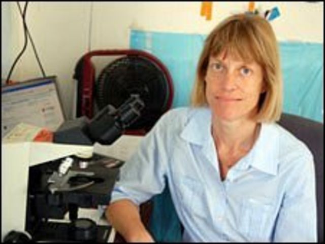 Thuốc sốt rét hết công hiệu - BBC News Tiếng Việt