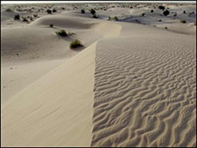 Un gran muro para contener el desierto - BBC News Mundo