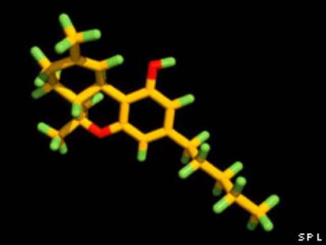 Descubren cómo el cannabis da amnesia - BBC News Mundo