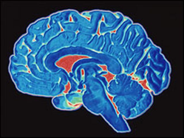Desarrollan herramienta para medir la madurez mental - BBC News Mundo
