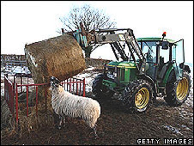 Allá en la granja…virtual - BBC News Mundo