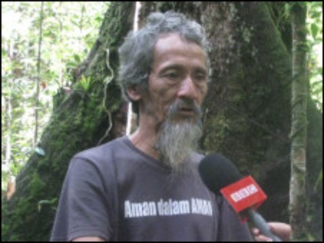 Dayak Iban penjaga hutan Kapuas Hulu - BBC News Indonesia