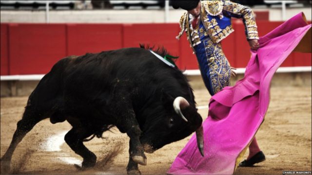 آخرین گاوبازی در کاتالونیا - BBC News فارسی