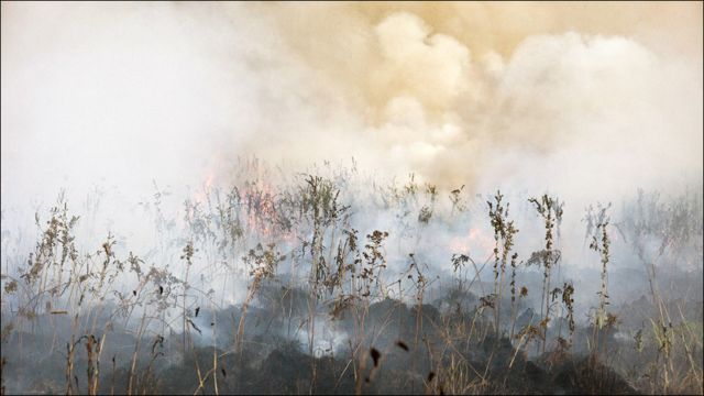 Dab ku faafaya toddoba gobol ee Ruushka - BBC News Somali