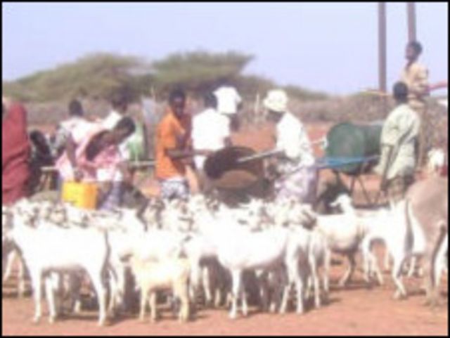 Isbitaal laga dhisayo Burtinle - BBC News Somali