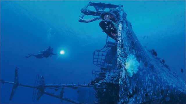 En fotos: el misterioso mundo subacuático - BBC News Mundo