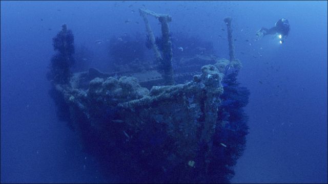 En fotos: el misterioso mundo subacuático - BBC News Mundo