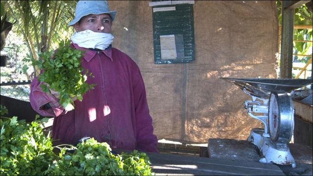 En fotos: Cuba tiembla de frío - BBC News Mundo