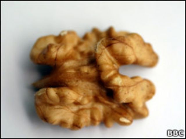 Antioxidantes fazem de nozes as frutas oleaginosas 'mais saudáveis ...