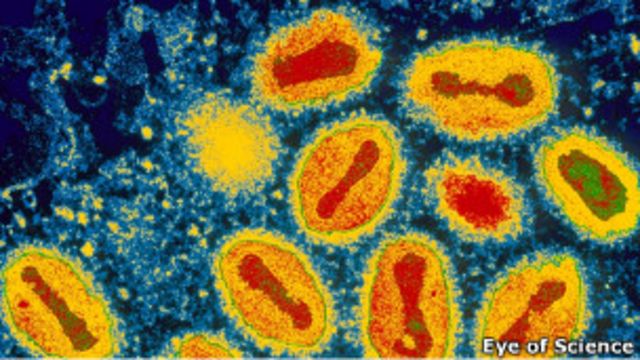 ¿Por qué no se destruyen las reservas del virus de viruela? - BBC News ...