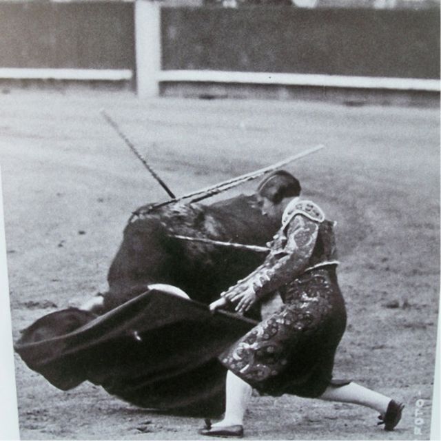 En fotos: una mirada femenina del toreo - BBC News Mundo
