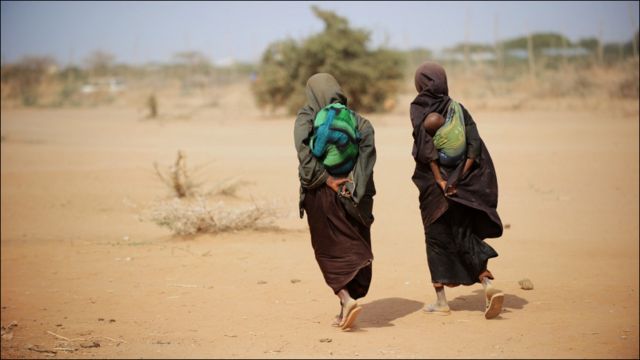 Sawirro dhibaatada abaarta - BBC News Somali