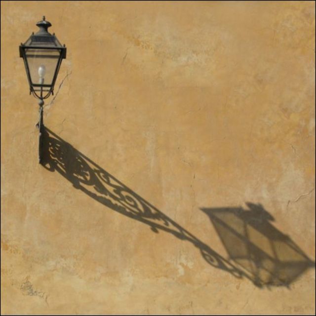 Ảnh độc giả: Chủ đề "Bóng nắng" - BBC News Tiếng Việt