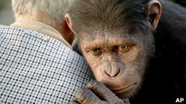 Las lecciones de humanidad que dejan las películas de simios - BBC News ...