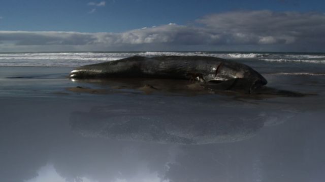 En imágenes: ¡Vivan las antípodas! - BBC News Mundo