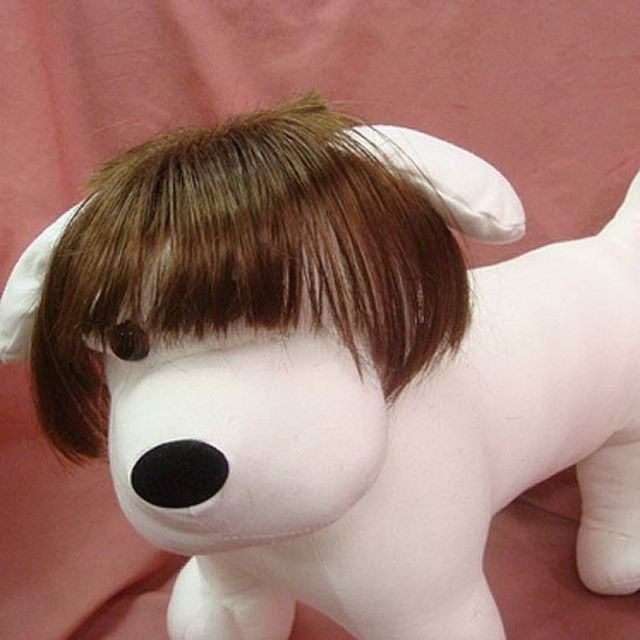 En fotos: pelucas para perros, de todos los colores y estilos - BBC ...