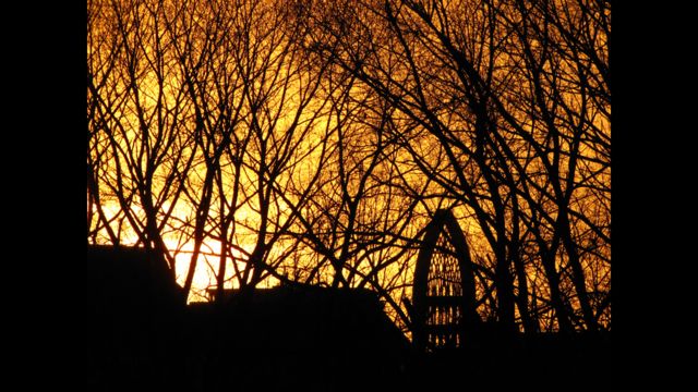 Cuando despunta el alba - BBC News Mundo