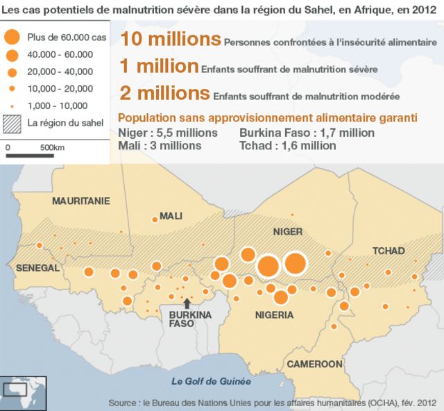 Cartogramme de la crise alimentaire - BBC News Afrique