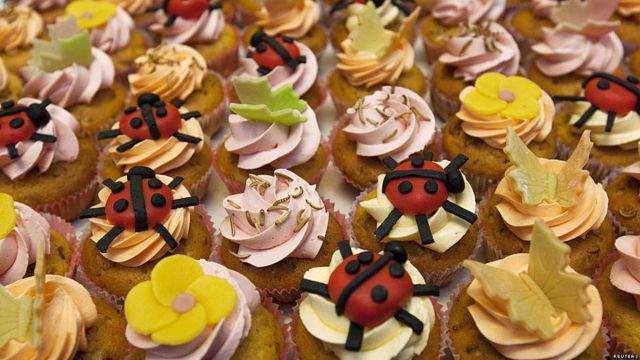 En fotos: insectos para el postre - BBC News Mundo