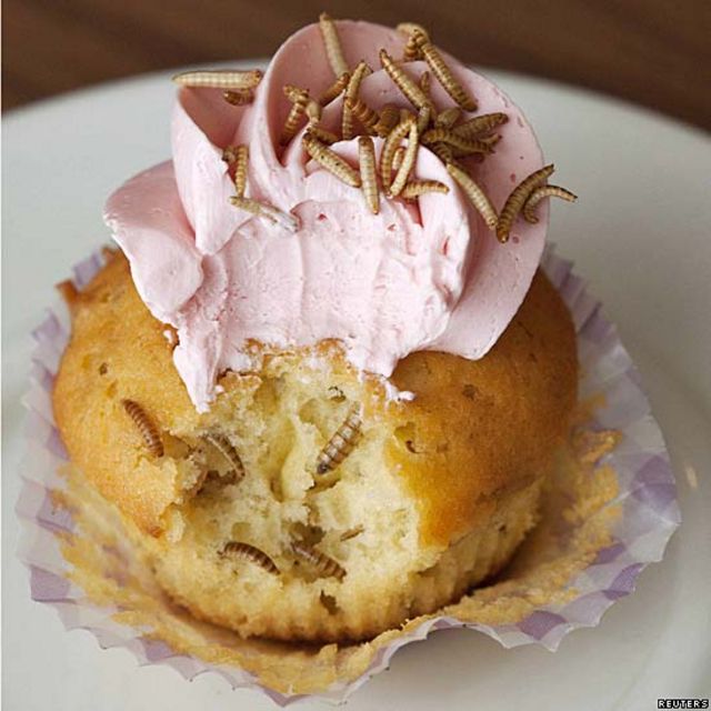 En fotos: insectos para el postre - BBC News Mundo