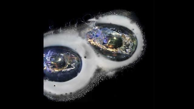 En fotos: el arte de los disparos - BBC News Mundo