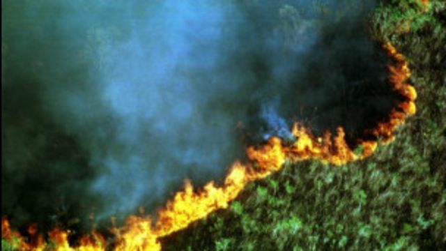 El veto verde, la nueva pelea de Dilma Rousseff - BBC News Mundo