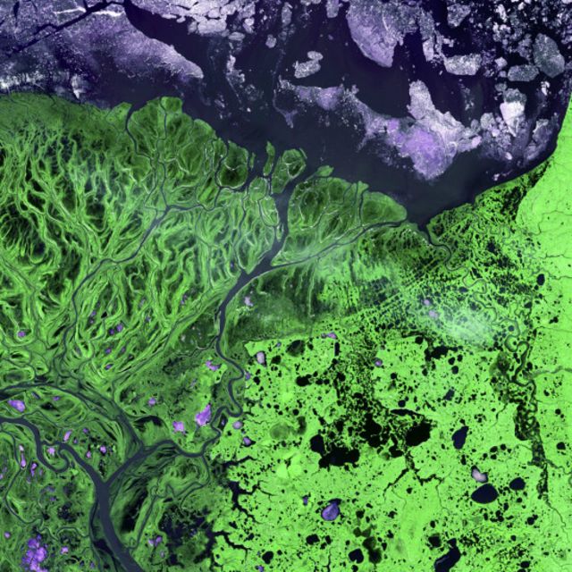 Vistos do alto, deltas de rios viram 'arte moderna' - BBC News Brasil