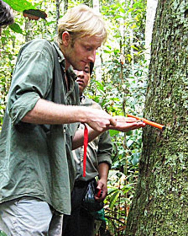 Los árboles que cuentan la historia de la lluvia en la Amazonía - BBC ...