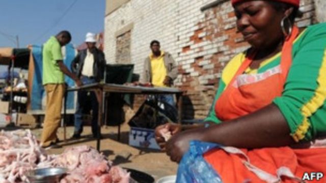 Los pollos que enfrentan a Brasil y Sudáfrica - BBC News Mundo