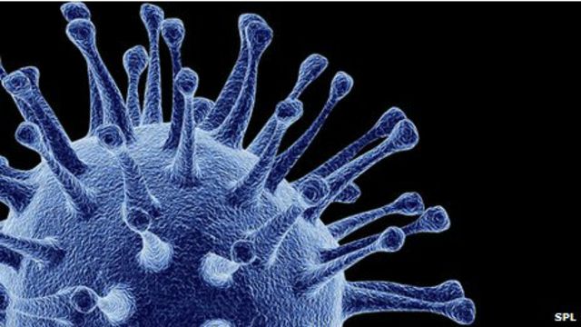 Penelitian kontroversial flu burung dilanjutkan - BBC News Indonesia