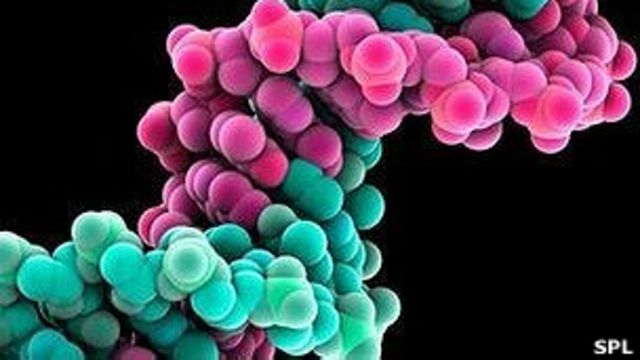 Estudio sobre el cáncer busca ubicar factores de riesgo - BBC News Mundo