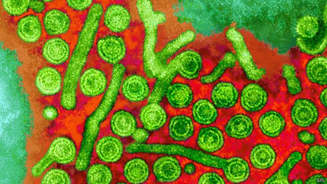 Virus hepatitis 'membunuh' banyak pasien - BBC News Indonesia