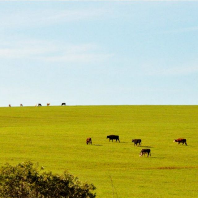 O ar bucólico da vida rural nas fotos dos leitores da BBC Brasil - BBC ...