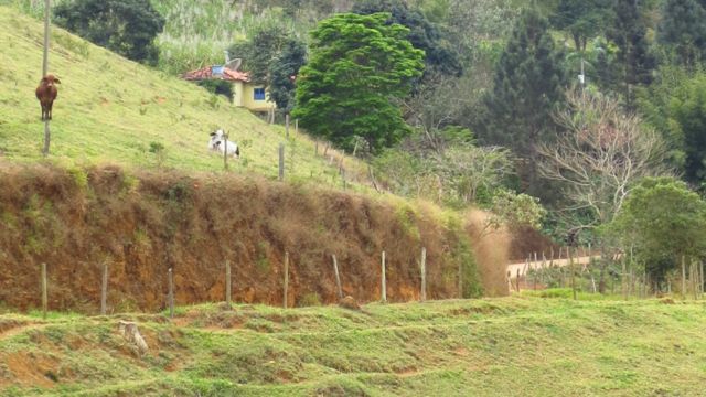 O ar bucólico da vida rural nas fotos dos leitores da BBC Brasil - BBC ...