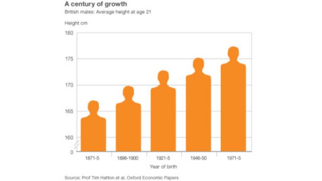 Tinggi pria bertambah 11 cm dalam seabad - BBC News Indonesia