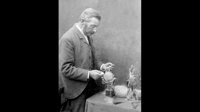 En fotos: el curioso mundo de la taxidermia - BBC News Mundo