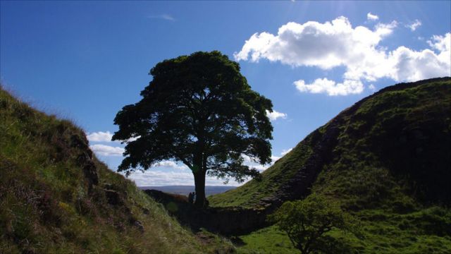 Nosso tema, suas fotos: buracos e fendas - BBC News Brasil