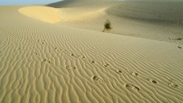 "Tahriibayaal" ku dhintay Saxaraha Niger - BBC News Somali