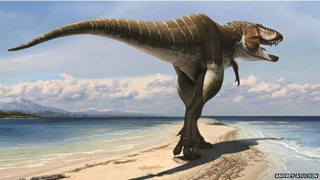 Spesies baru Tyrex raksasa ditemukan - BBC News Indonesia