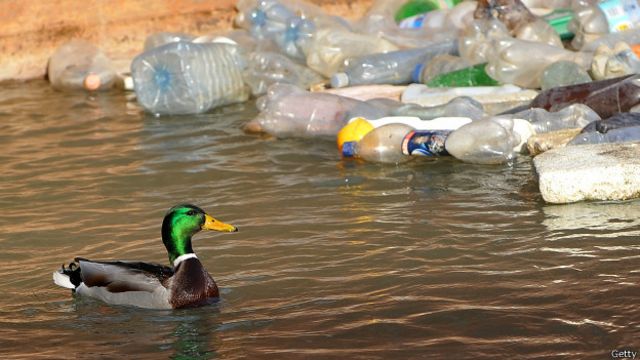 Riset: 8 juta ton sampah plastik ke laut tiap tahun - BBC News Indonesia