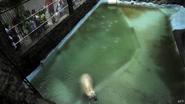 ¿Se deberían prohibir los zoológicos en el mundo? - BBC News Mundo